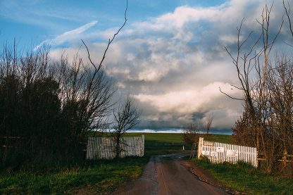 Exploring Country Victoria: Mansfield and Abroad | Alex Wise Photography
