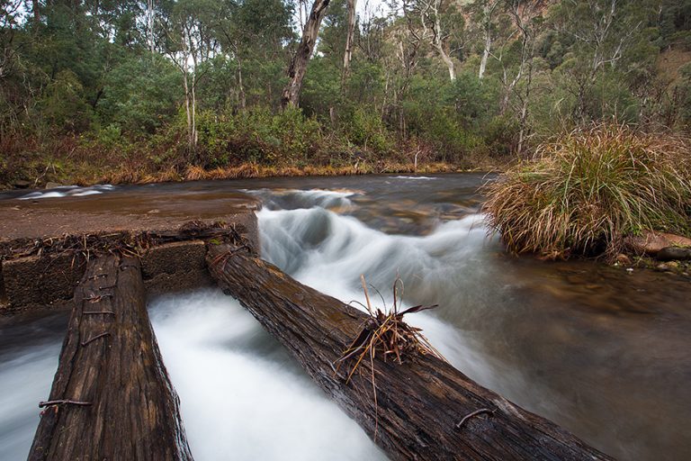 Exploring Country Victoria: Mansfield and Abroad | Alex Wise Photography