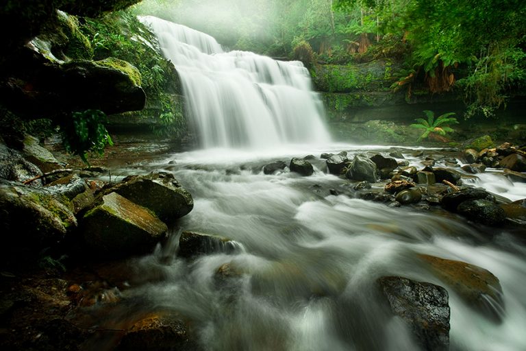 Before and After – Liffey Falls | Alex Wise Photography