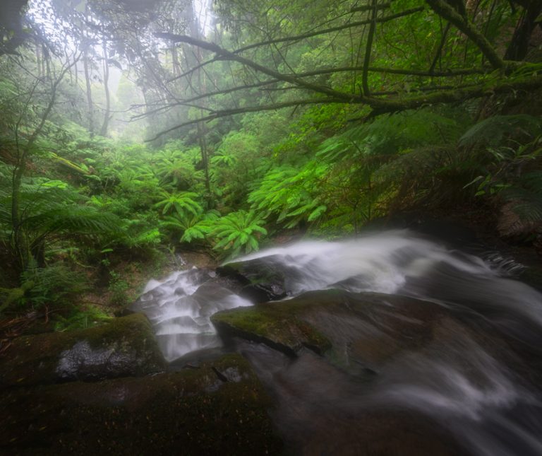 Alex Wise Photography